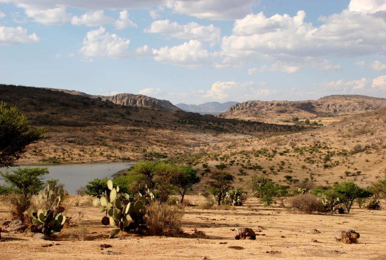 Archaeological Sites in Aguascalientes - Tourist Guide | visit-mexico.mx