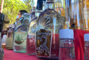 Gastronomy of Durango - Tourist Guide | visit-mexico.mx