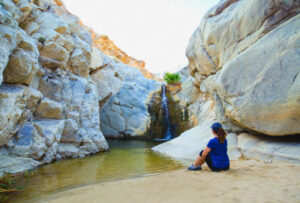 Mexicali, Baja California - Tourist Guide | visit-mexico.mx