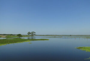 Beaches in Tabasco - Tourist Guide | visit-mexico.mx